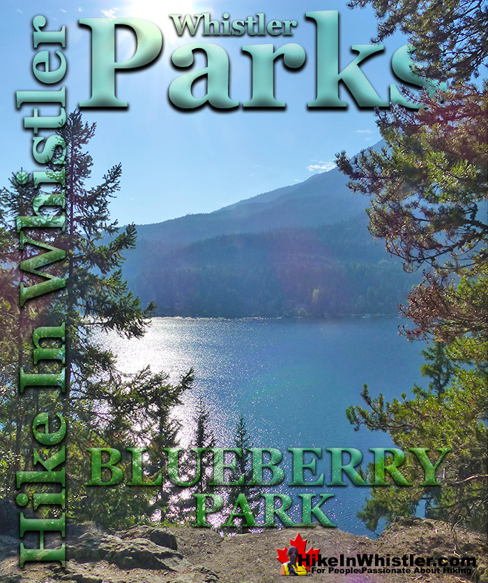 Best Whistler Parks - Blueberry Park