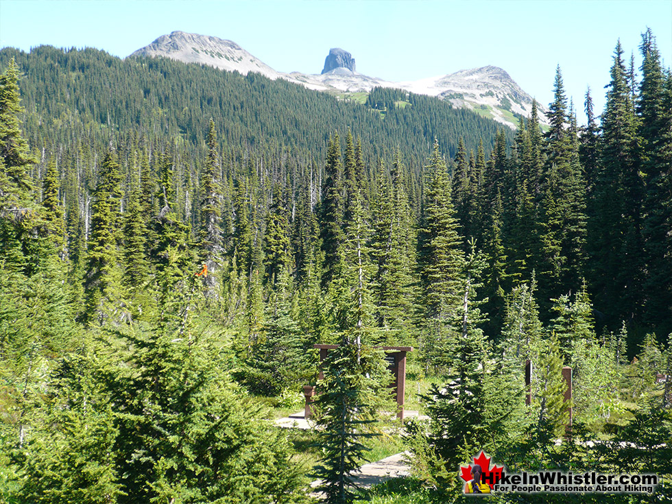 Taylor Meadows Hike in Garibaldi Park 2021